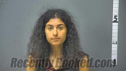 Recent Booking / Mugshot for MASTANEH MOHAMMADZADEH in Rockingham County, Virginia