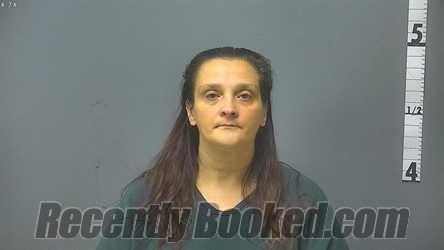 Recent Booking / Mugshot for NICOLE MARIE HOOVER in Rockingham County ...