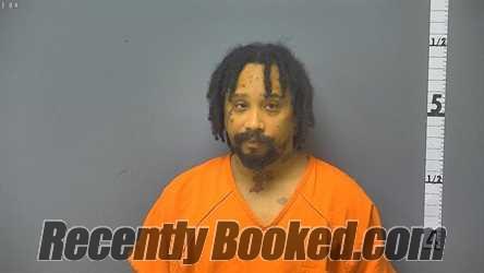 Recent Booking / Mugshot for SHANNON LARIENA WOODFOLK in Rockingham County, Virginia