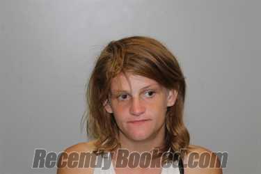 Recent Booking / Mugshot for Bethany Diane Anderson in Russell County ...