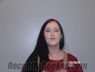 Recent Booking / Mugshot for Megan Leighann Jessee in Russell County ...