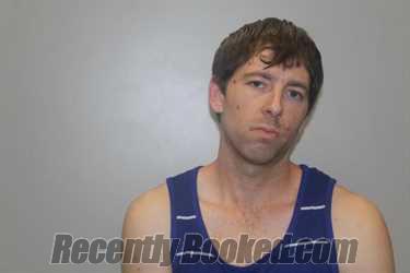 Recent Booking / Mugshot for Dillon Wayne Collins in Scott County, Virginia