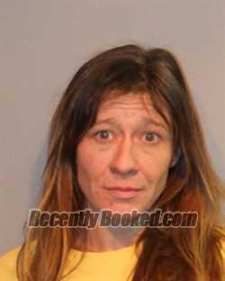 Recent Booking / Mugshot for Megan Rae Stepansky in Scott County, Virginia