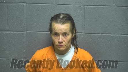 Recent Booking / Mugshot for BRANDY MARIE RITCHIE in Shenandoah County ...