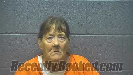 Recent Booking / Mugshot for DEE MARIE GETZ in Shenandoah County, Virginia