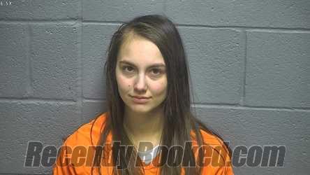Recent Booking / Mugshot for JESSICA LYNN BIVENS in Shenandoah County ...