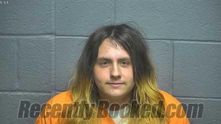 Recent Booking / Mugshot for KADEN LUKE SHOEMAKER in Shenandoah County ...
