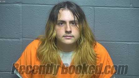 Recent Booking / Mugshot for KADEN LUKE SHOEMAKER in Shenandoah County ...