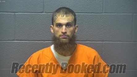 Recent Booking / Mugshot for KALEB RYAN WILLIAMS in Shenandoah County ...