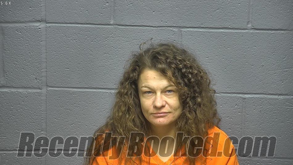 Recent Booking / Mugshot for MEGAN DENISE FUGATE in Shenandoah County ...