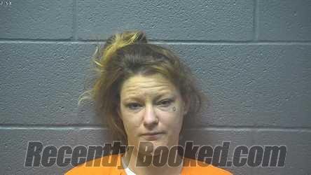 Recent Booking / Mugshot for MEGAN ELIZABETH Kestner in Shenandoah ...