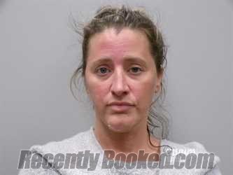 Recent Booking / Mugshot for Anna Louise Geist in Smyth County, Virginia