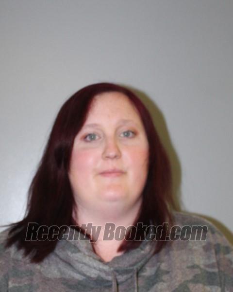 Recent Booking / Mugshot for Bridget Elaine Fields in Smyth County ...