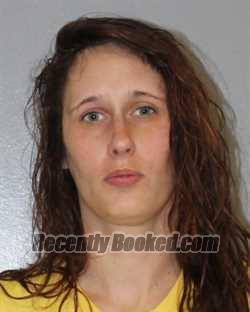 Recent Booking / Mugshot for Christian Michelle Jones in Smyth County ...