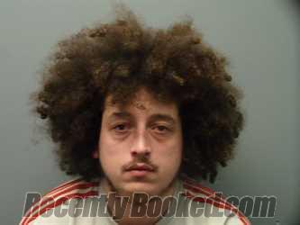Recent Booking / Mugshot for Daniel Nelson in Smyth County, Virginia