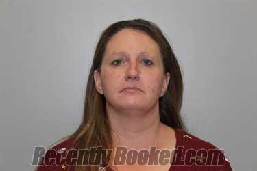 Recent Booking / Mugshot for Sarah Elizabeth Morgan in Smyth County ...
