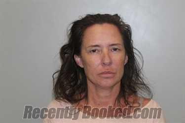 Recent Booking / Mugshot for Denise Buckner Summey in Tazewell County ...