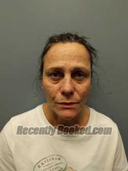 Recent Booking / Mugshot for TINA MARIE JOHNSON in Tazewell County ...