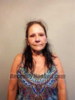 Recent Booking / Mugshot for Tina Renea Statzer in Tazewell County ...