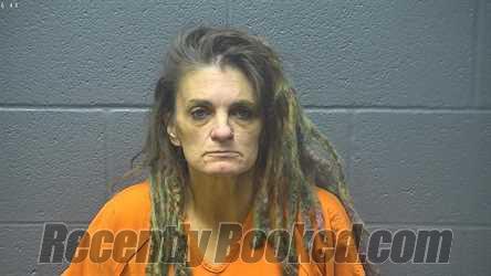 Recent Booking / Mugshot for DAWN ELIZABETH SHUCK in Warren County ...