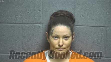 Recent Booking / Mugshot for ELIZABETH MARIE CLATTERBUCK in Warren ...