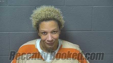 Recent Booking / Mugshot for LESLIE LAKESHA PULLEN in Warren County ...