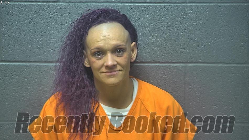 Recent Booking / Mugshot for MARANDA LYNN COSTELLO in Warren County ...