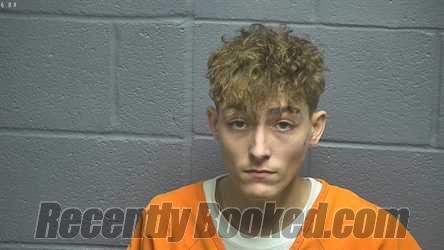 Recent Booking / Mugshot for PHOENIX ANDREW DAVID ASHBY in Warren ...