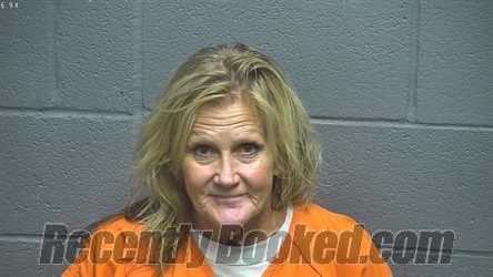 Recent Booking / Mugshot for PATRICIA FRANCES MAREK in Warren County ...