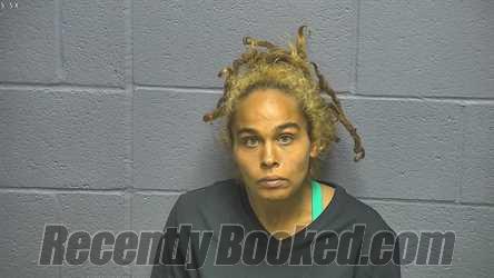 Recent Booking / Mugshot for SHAWNTICE DONETTE HOWARD in Warren County ...