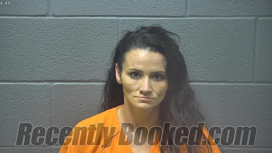 Recent Booking / Mugshot for TABITHA KAY POUNDSTONE in Warren County ...