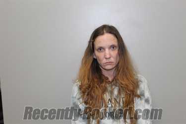 Recent Booking / Mugshot for Alaina Jane Hicks in Washington County ...