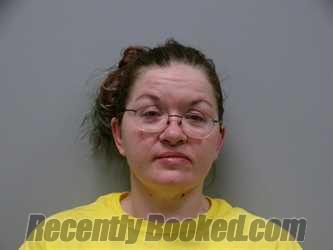 Recent Booking / Mugshot for April S Pedersen in Wise County, Virginia