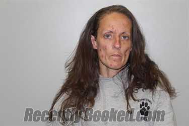 Recent Booking / Mugshot for Bridget Widner Garbart in Wise County ...