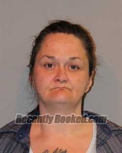 Recent Booking / Mugshot for Brandy Renee Mullins in Wise County, Virginia