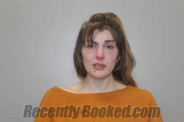 Recent Booking / Mugshot for Darcy Nicole Funk in Wise County, Virginia