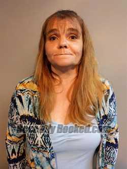 Recent Booking / Mugshot for Heather Michelle Finch in Wise County ...
