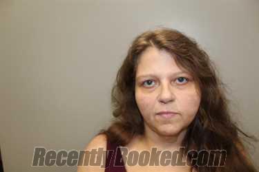 Recent Booking / Mugshot for Heather Annette Henson in Wise County ...
