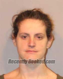 Recent Booking / Mugshot for Jessica Ann Welsh in Wise County, Virginia