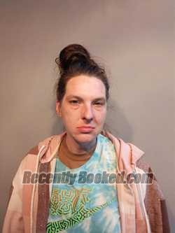Recent Booking / Mugshot for Kayla Renee Mosley in Wise County, Virginia