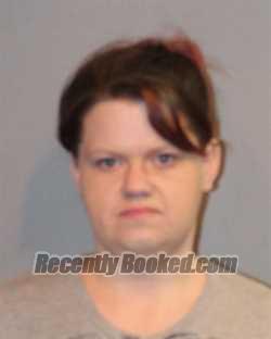 Recent Booking / Mugshot for Megan Brooke Taylor in Wise County, Virginia