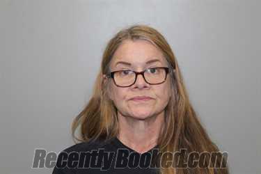 Recent Booking / Mugshot for Robin Lynn Sykes in Wise County, Virginia