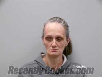 Recent Booking / Mugshot for Stacy Lee Doane in Wise County, Virginia