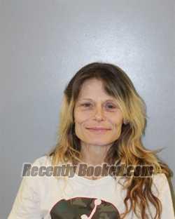 Recent Booking / Mugshot for Shannon Rene Mitchell in Wise County, Virginia