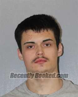 Recent Booking / Mugshot for Timothy Trevor Meadows in Wise County ...