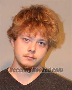 Recent Booking / Mugshot for Trenton Blake Stallard in Wise County ...