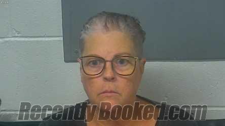 Recent Booking / Mugshot for JILL STRUBLE LOCKARD in York County, Virginia