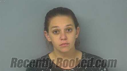 Recent Booking / Mugshot for RACHel LYNN JONES in York County, Virginia