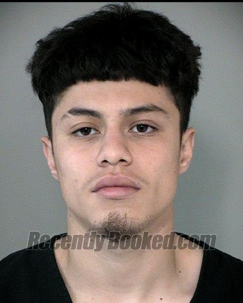 Recent Booking / Mugshot for JADDER SANTIAGO ALVAREZ in Fort Bend ...