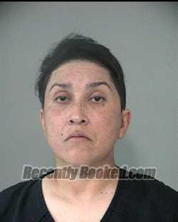 Recent Booking / Mugshot for ANN CASTILLO in Fort Bend County, Texas